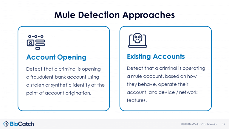 Mule Account Detection is Key to Eliminating Cybercrime